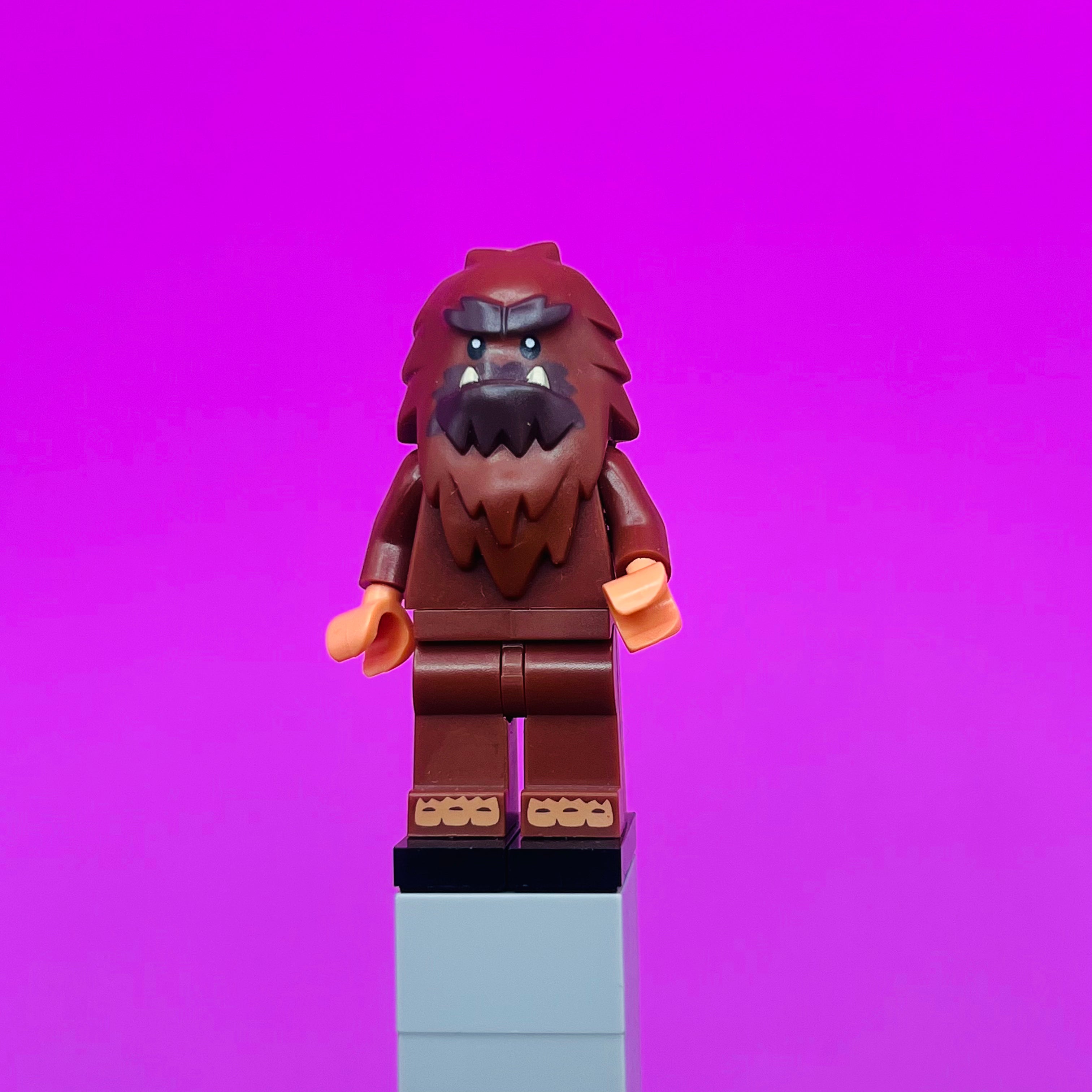 LEGO Minifigure Series Minifigure Square Foot, Series 14 (Minifigure O ...